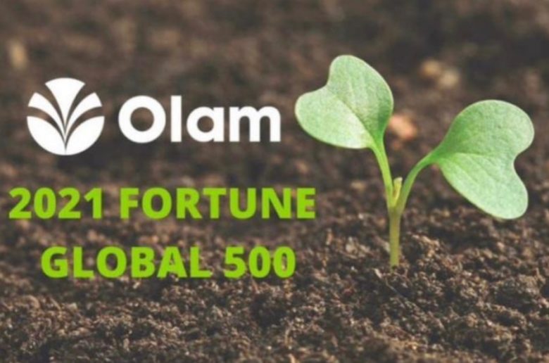 Le Gabon a su faire le bon choix avec Olam – Focus Groupe Media